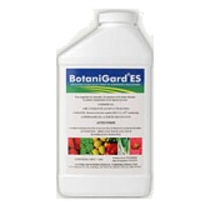 BotaniGard 11.3% ES 1 QT OMRI EPA# 82074-1 BIOWORKS - Griffin ...