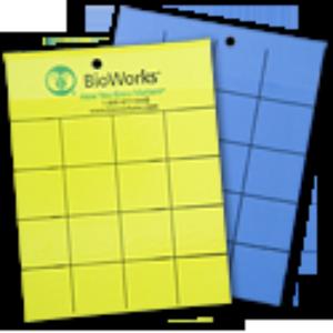 2-Color Blue/Yellow Sticky Cards 4" x 5" 10/SLV - Griffin Greenhouse ...