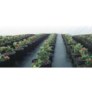 Agrofabric Pro 19 6' X 250' Frost Protection 0.55 oz per Square Yard ...