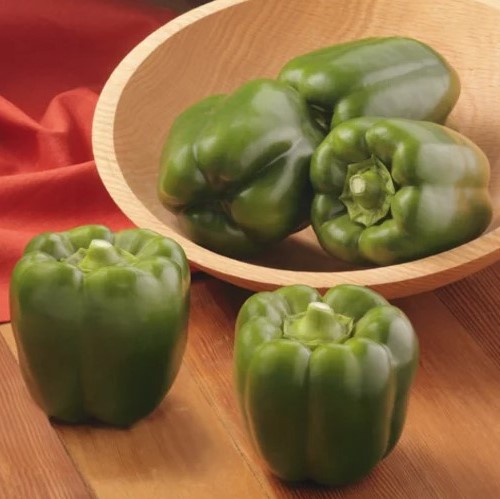 Pepper Seed - Griffin Greenhouse Supplies