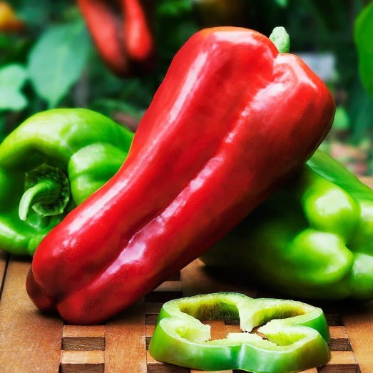 Pepper Seed - Griffin Greenhouse Supplies