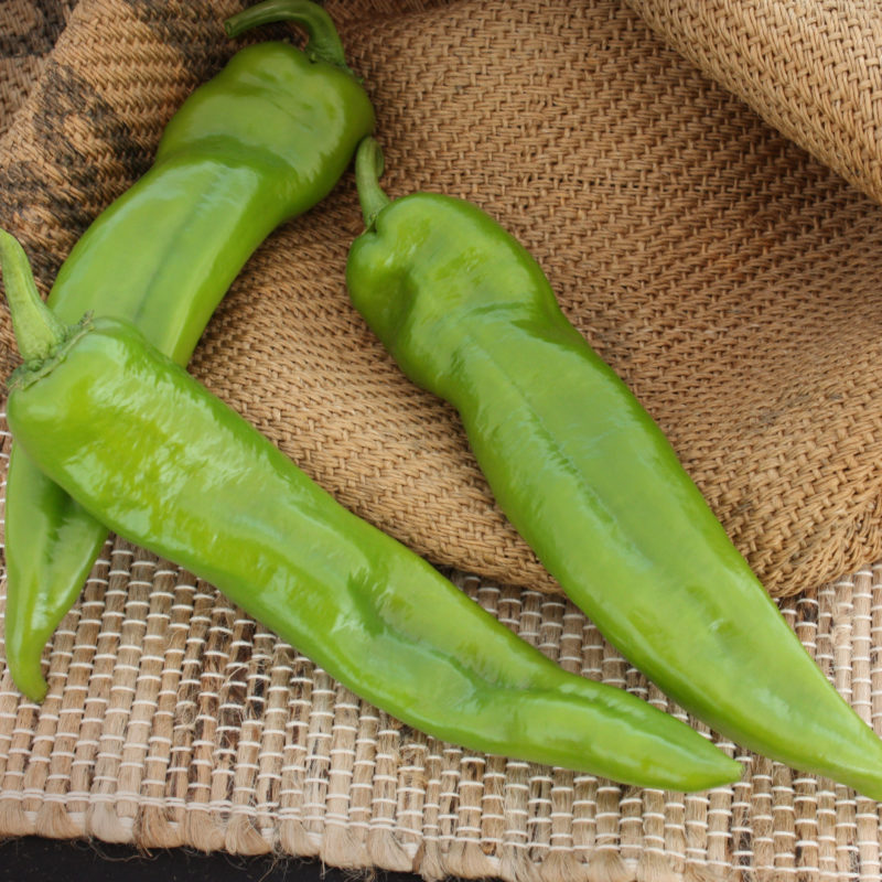 Pepper Seed - Griffin Greenhouse Supplies