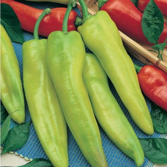 Pepper Seed - Griffin Greenhouse Supplies