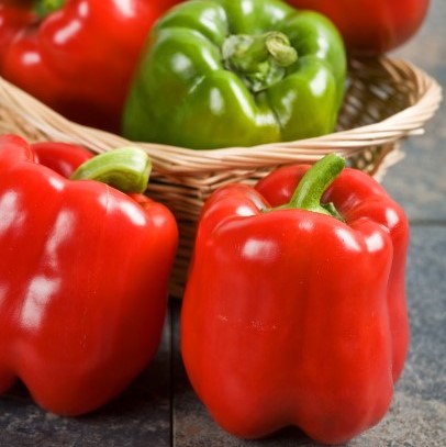 Pepper Seed - Griffin Greenhouse Supplies