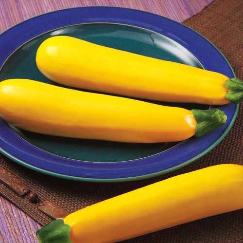Squash Seed - Griffin Greenhouse Supplies