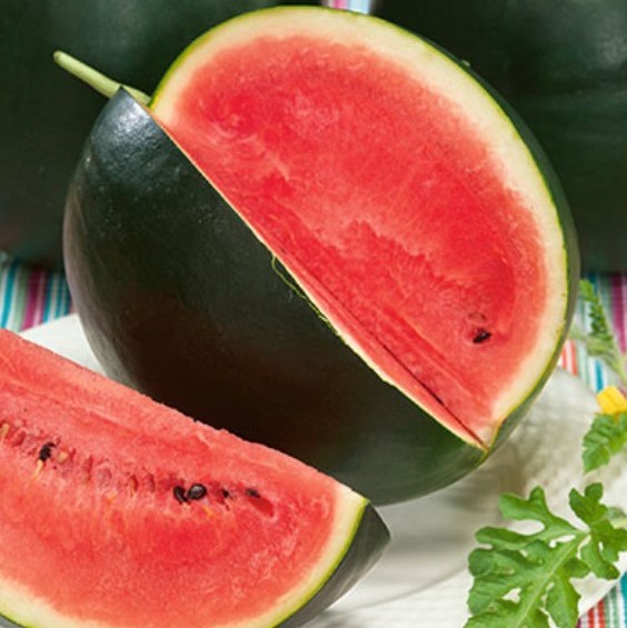 Watermelon Seed - Griffin Greenhouse Supplies